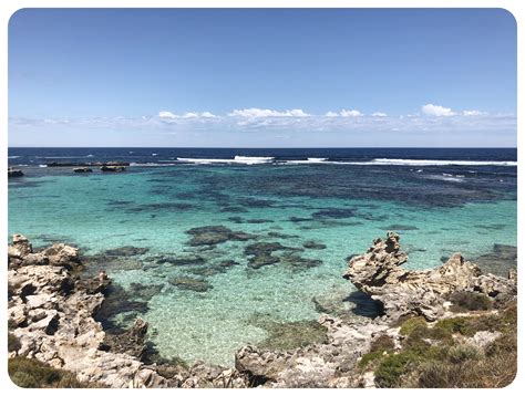 Guía Completa Para Visitar La Isla De Rottnest