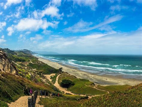 The Ultimate San Francisco Nature Guide Perfect For Social Distancing