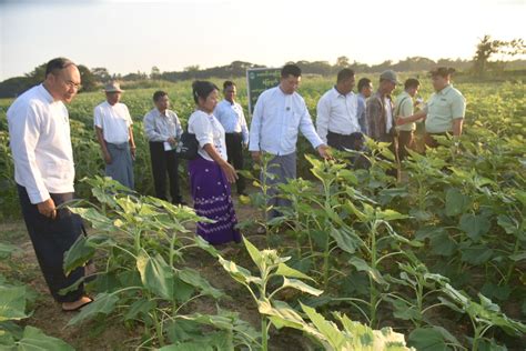 ဧရာဝတီတိုင်းဒေသကြီးအစိုးရအဖွဲ့