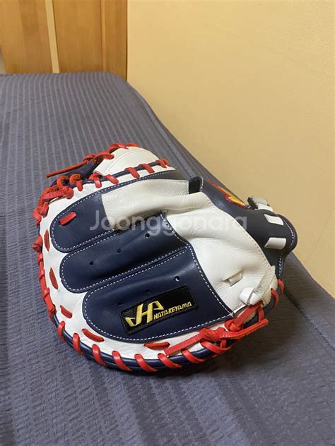 하타케야마 포수미트 야구공 용품 중고나라