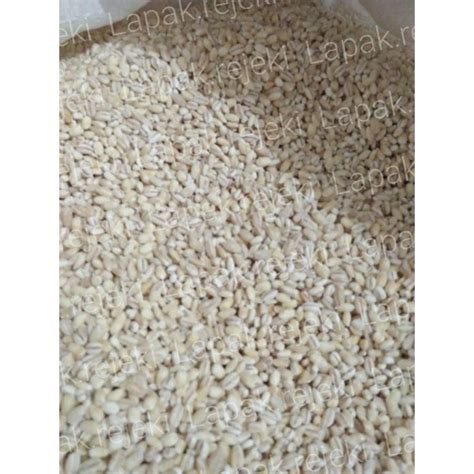 Jual Biji Jali Import Biji Barley Biji Jali Jali Pearl Gram Shopee Indonesia