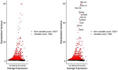 一站式单细胞测序数据下游分析 云生信