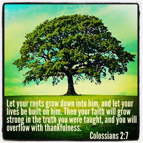 29 Best Roots In Christ Images On Pinterest Christian Quotes Scripture Verses And Bible