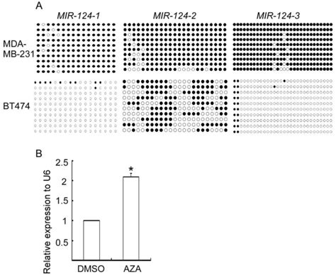 A The Methylation Status Of Cpg Islands Around Mir124 1 Mir124 2 And Download Scientific