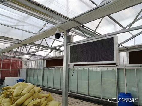 什么是智能温室大棚又有什么样的功能和优势 知乎