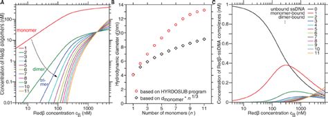 Annealing Model A Red β Oligomer Concentration Calculated According