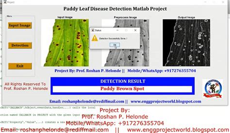 Paddy Leaf Disease Detection Using Image Processing Final Year Matlab Project ~ Engineering