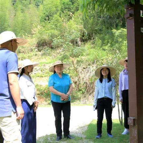 市妇联到仁化县调研“粤美·家园”乡村振兴巾帼志愿宣讲员试点村培训工作 城口镇 红山镇 乡村