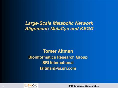 ppt large scale metabolic network alignment metacyc and kegg powerpoint presentation id 5081263