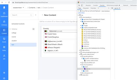 App CSS Is Not Getting Loaded Custom Editors Support Squidex Support