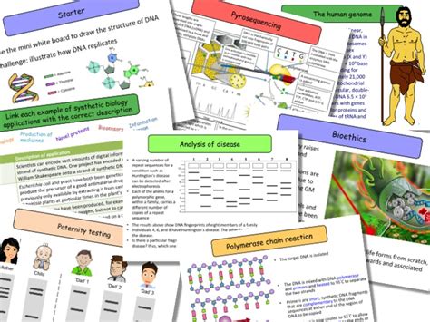 Cellular Control Patterns Of Inheritance Manipulating Genomes New A