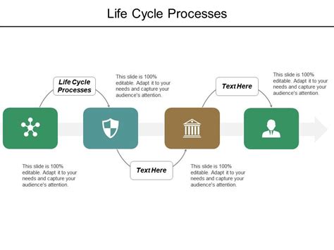 Life Cycle Processes Ppt Powerpoint Presentation Layouts Ideas Cpb Powerpoint Templates