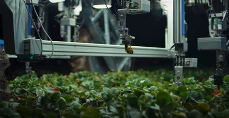 盯着这个辣椒 24 秒，「我」决定采下它 爱范儿