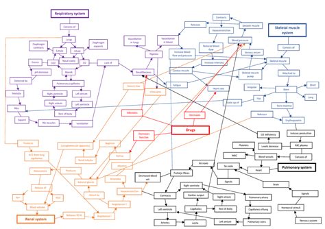 Integration Concept Map Decreases Decreases Function Alleviates Drugs