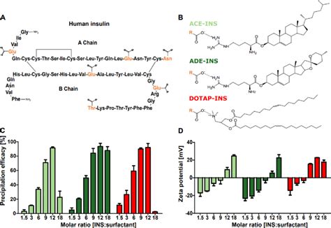 A Primary Structure Of Human Insulin With Highlighted Acidic Amino Download Scientific