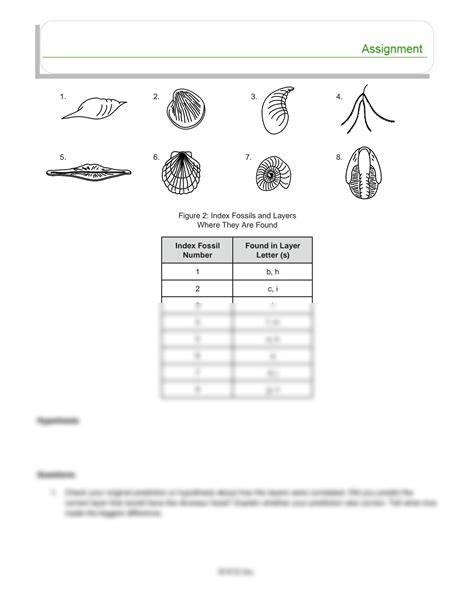 SOLUTION Assignment Rock Layers And Index Fossils Exploration Studypool