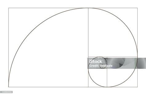 황금 비율 나선형 조화 구성을위한 디자이너를 안내하는 수학 공식 황금비에 대한 스톡 벡터 아트 및 기타 이미지 황금비 앵무조개 나선형 Istock