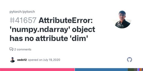 AttributeError Numpy Ndarray Object Has No Attribute Dim Issue Pytorch Pytorch