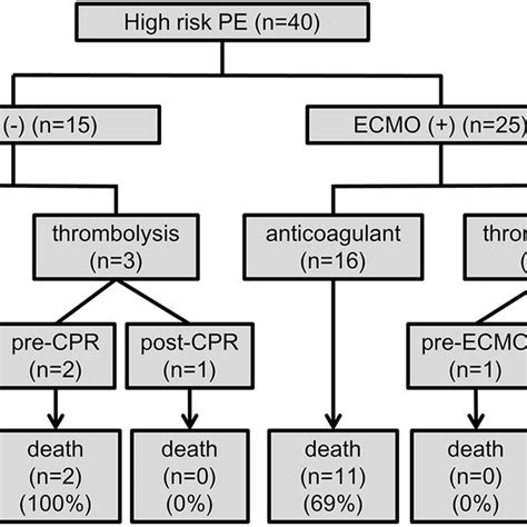 Flow Chart Of The Treatment Strategies And Outcomes Cpr Download