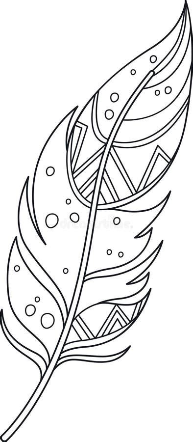 Feather Outline Boho Stock Vector Illustration Of Collection 299733015