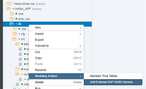 Sap Hana Xs Advanced Cross Container Access Sap Tutorials