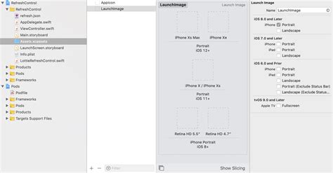 Ios Possible With Launch Storyboard Stack Overflow