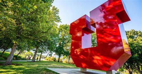 How To Navigate CIS U Belong