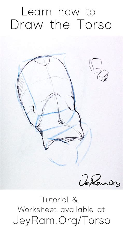 How To Draw The Torso Step By Step Tutorial Artofit