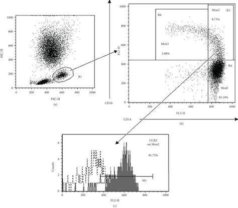 Representative Example Of The Flow Cytometry Analysis For Monocyte Download Scientific Diagram