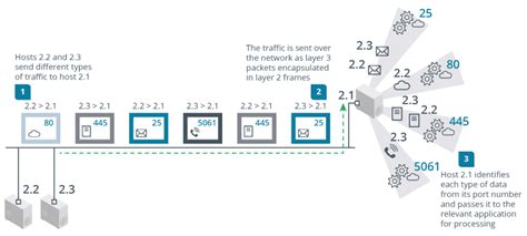 2 1 Introduction To Ip Diagram Quizlet