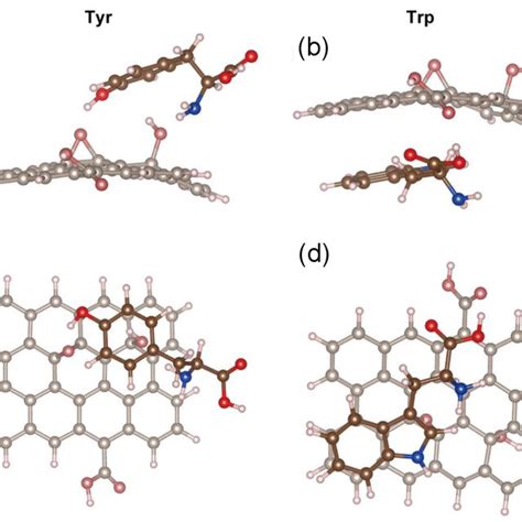Color Online Fluorescence Quenching Of Tyr Trp Or Both Tyr And Trp Download Scientific