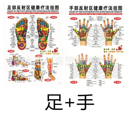 高清足图足底穴位图足部反射区健康疗法挂图脚底手耳头全身正侧背 阿里巴巴