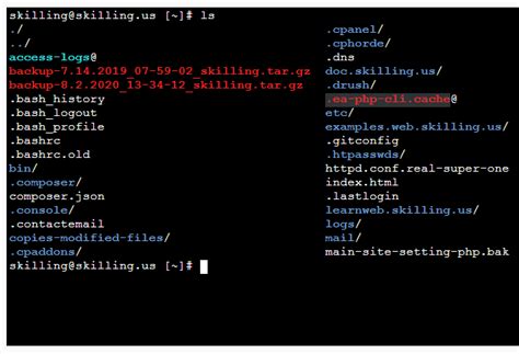 Using The Terminal Skilling
