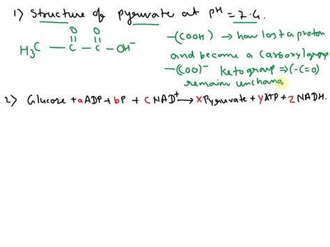 Solved I Need Help Drawing The Structure Of Pyruvate At 7 4 Add Coefficients To The Reaction