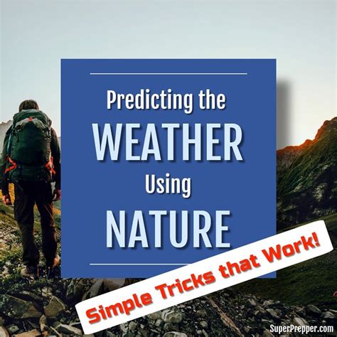 Predicting The Weather Using Nature Simple Tricks That Work Super Prepper