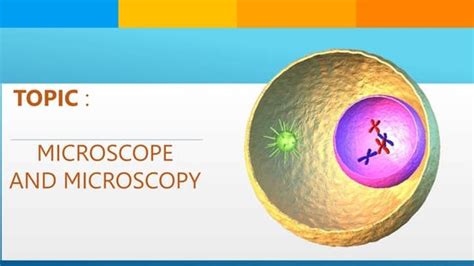 Principles And Application Of Light Microscopy Ppt