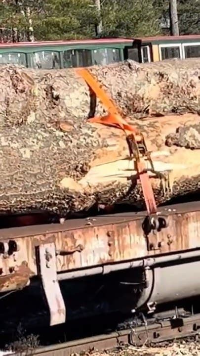 Monson 3 Reverses To Shops Train Railroad Railway Steam Monson3 Carver Edaville