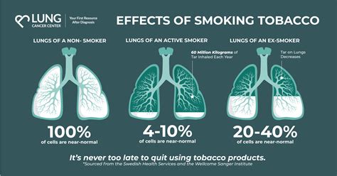 Smoking Tobacco Health Effects Lung Cancer Health Risks