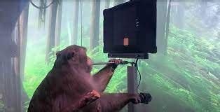 Neuralink Brain Implants Monkey Plays On Computer Via Brain Implant William Tualau Fale