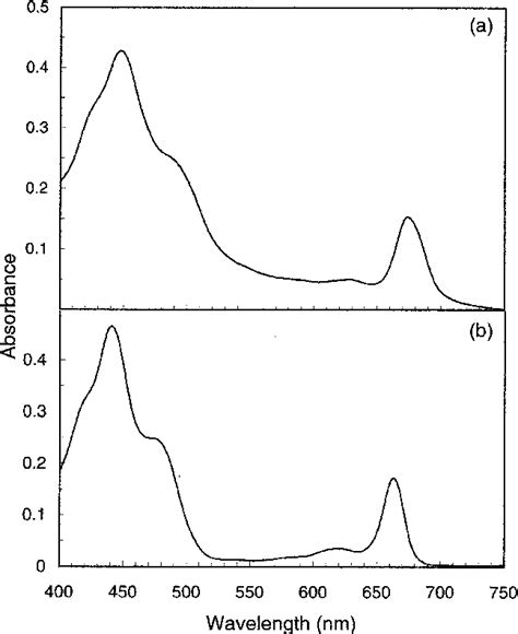 Figure 3 From Prochlorococcus Marinus Chisholm Et Al 1992 Subsp Pastoris Subsp Nov Strain