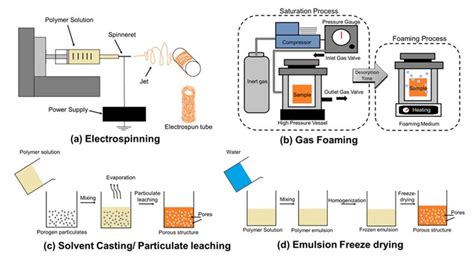 Four Conventional Scaffold Fabrication Methods A Electrospinning Download Scientific