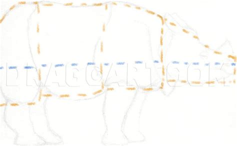How To Draw A Realistic Rhino Realistic Rhinoceros Step By Step Drawing Guide By