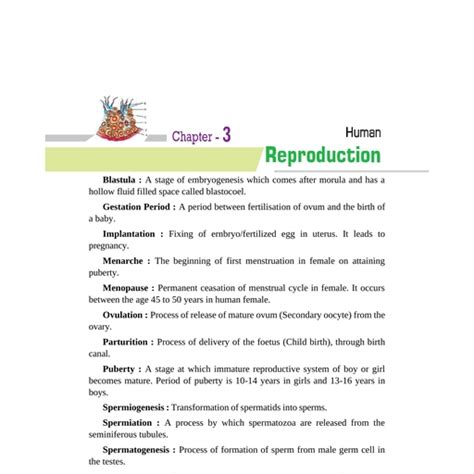 Human Reproduction Pdf Phy Chem Maths Bio Notes Teachmint