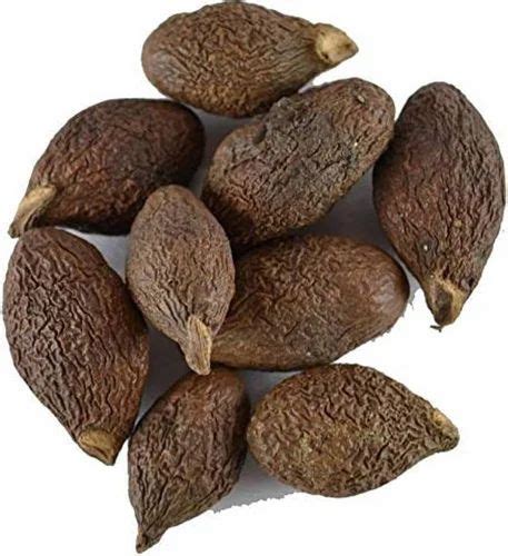 Niranjan Phal Sterculia Lychnophora Latest Price Manufacturers