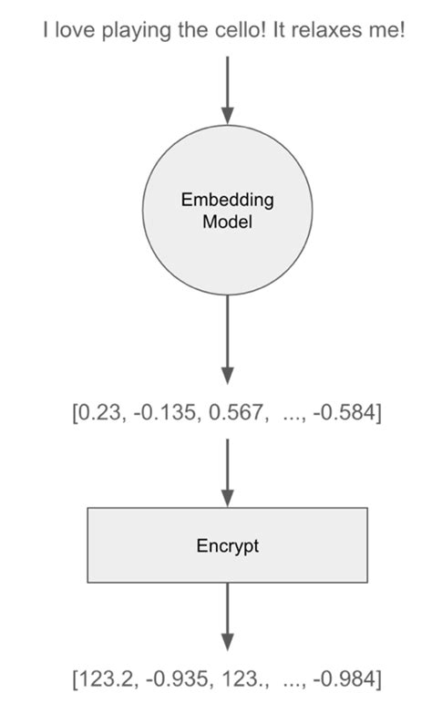 Protecting Ai Embedding Vectors By Using Approximate Distance