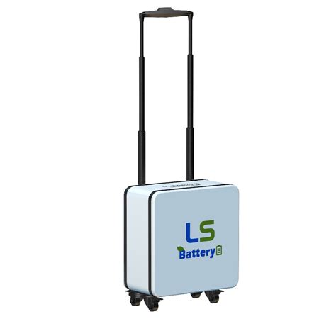 Portable Battery Dongguan Liushi Lithium Technology Co Ltd