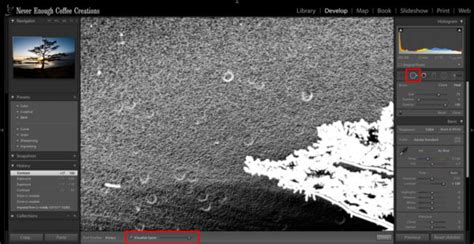 Fixing Dust And Artifacts In Lightroom CreativePro Network