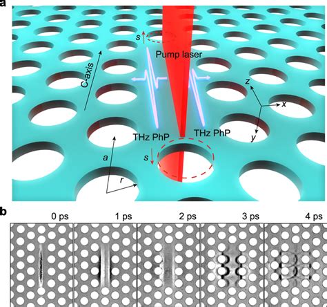 Experimental Design Of The Microcavity And Measured Temporal Evolution Download Scientific
