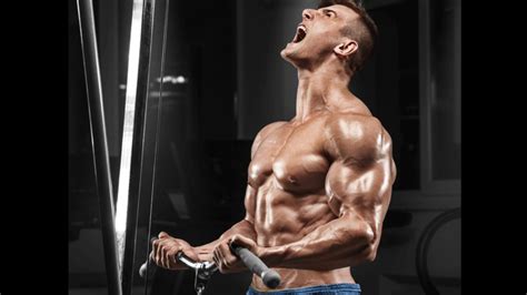 Bayesian Curl Muscle Worked And How To Do