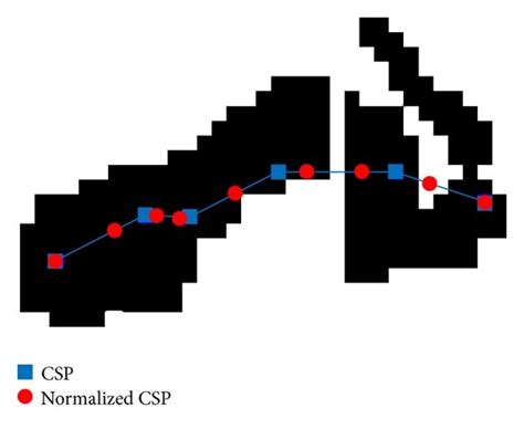 An Example Of CSPs Trajectory And Nine Normalized CSPs Download Scientific Diagram